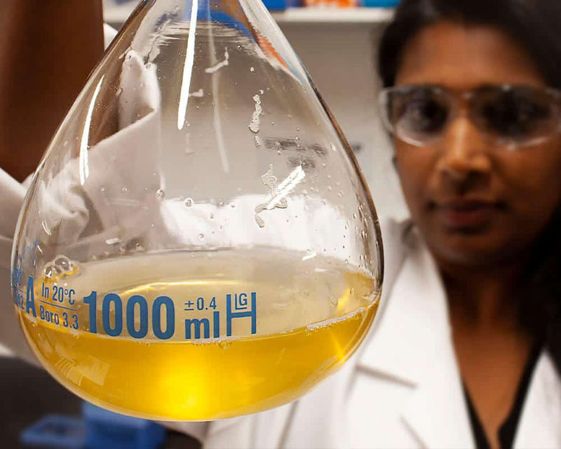 Zealandia Honey | We craft premium Manuka Honey from New Zealand